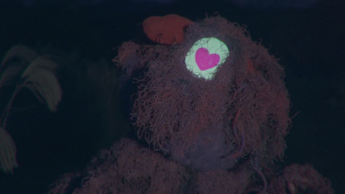 📸 画像：「REM」MVより｜NELN、お寺で修行!? ドラマ仕立ての新MV「REM」公開